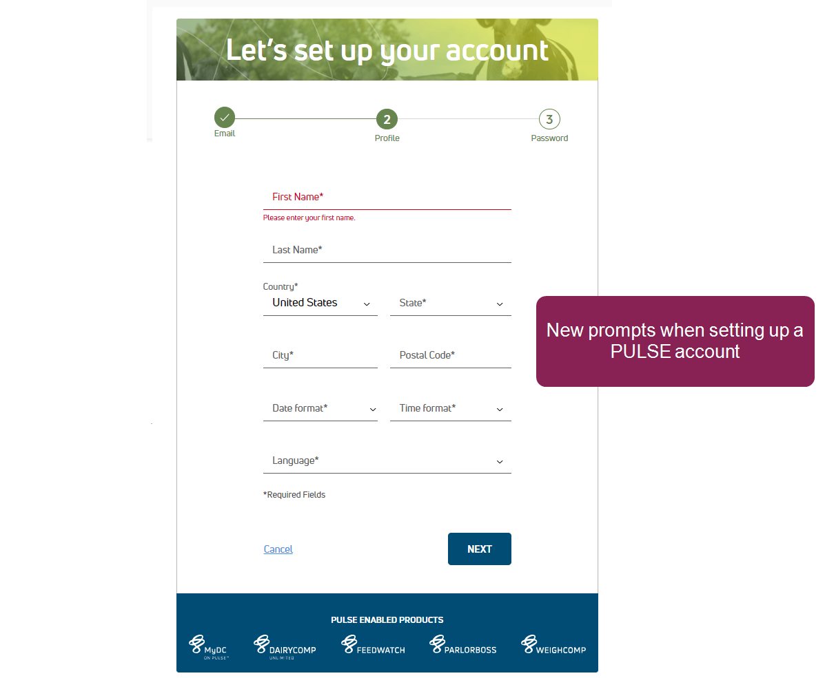 PULSE Update - August 2024